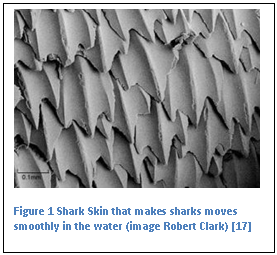 Biomimetics: Engineering New Textile