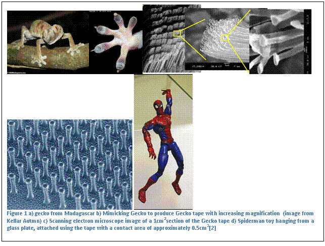 Biomimetics: Engineering New Textile