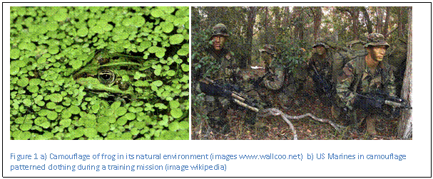 Biomimetics: Engineering New Textile