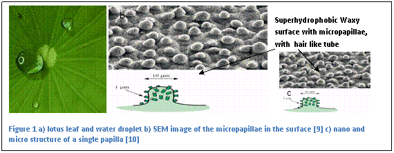 Biomimetics: Engineering New Textile
