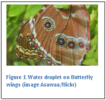 Biomimetics: Engineering New Textile