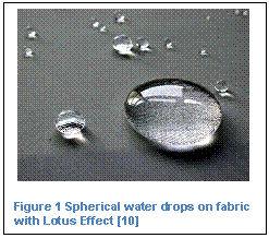 Biomimetics: Engineering New Textile