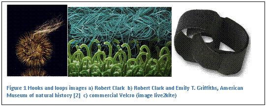 Biomimetics: Engineering New Textile