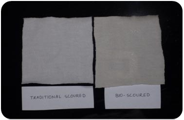 Introducing Bio-Scouring: A Cost Effective and Eco-friendly Process for ...