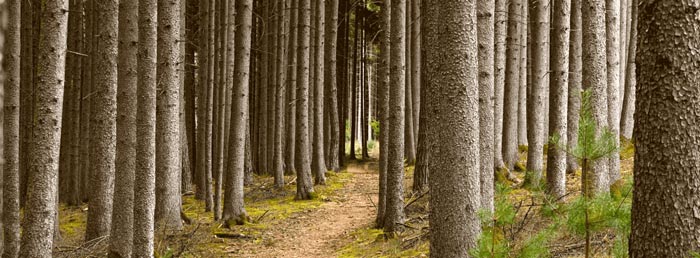 Need joint effort to combat viscose pollution, Dirty Fashion report reveals