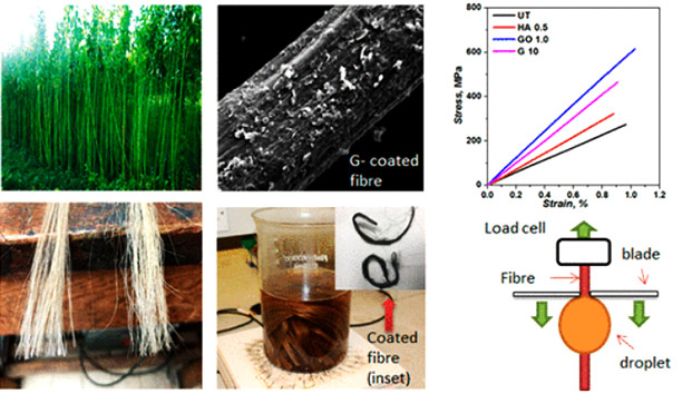 High performance graphene-based natural fiber composites
