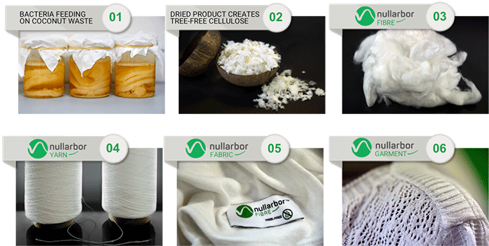 Nanollose creates world’s first item of clothing from sustainable ...