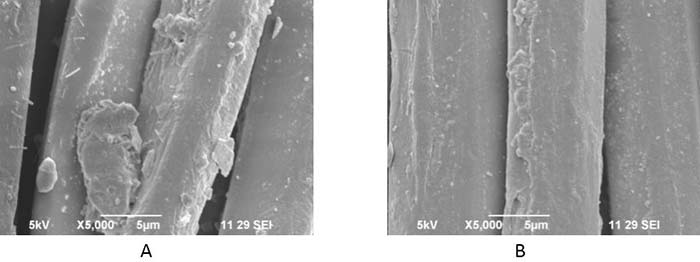 Bio-processing of polyester fabrics