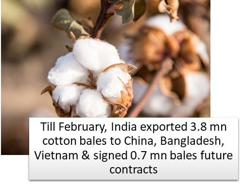 India's cotton exports to grow 50% to 7.5 million bales