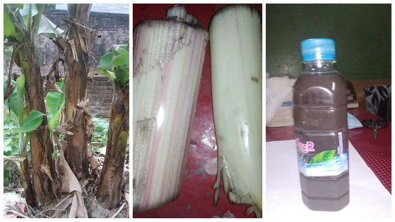 Promoting sustainability by examining the possibility of using bio ...